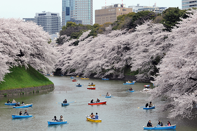 Chiyoda City｜FutureCity Eco-model City